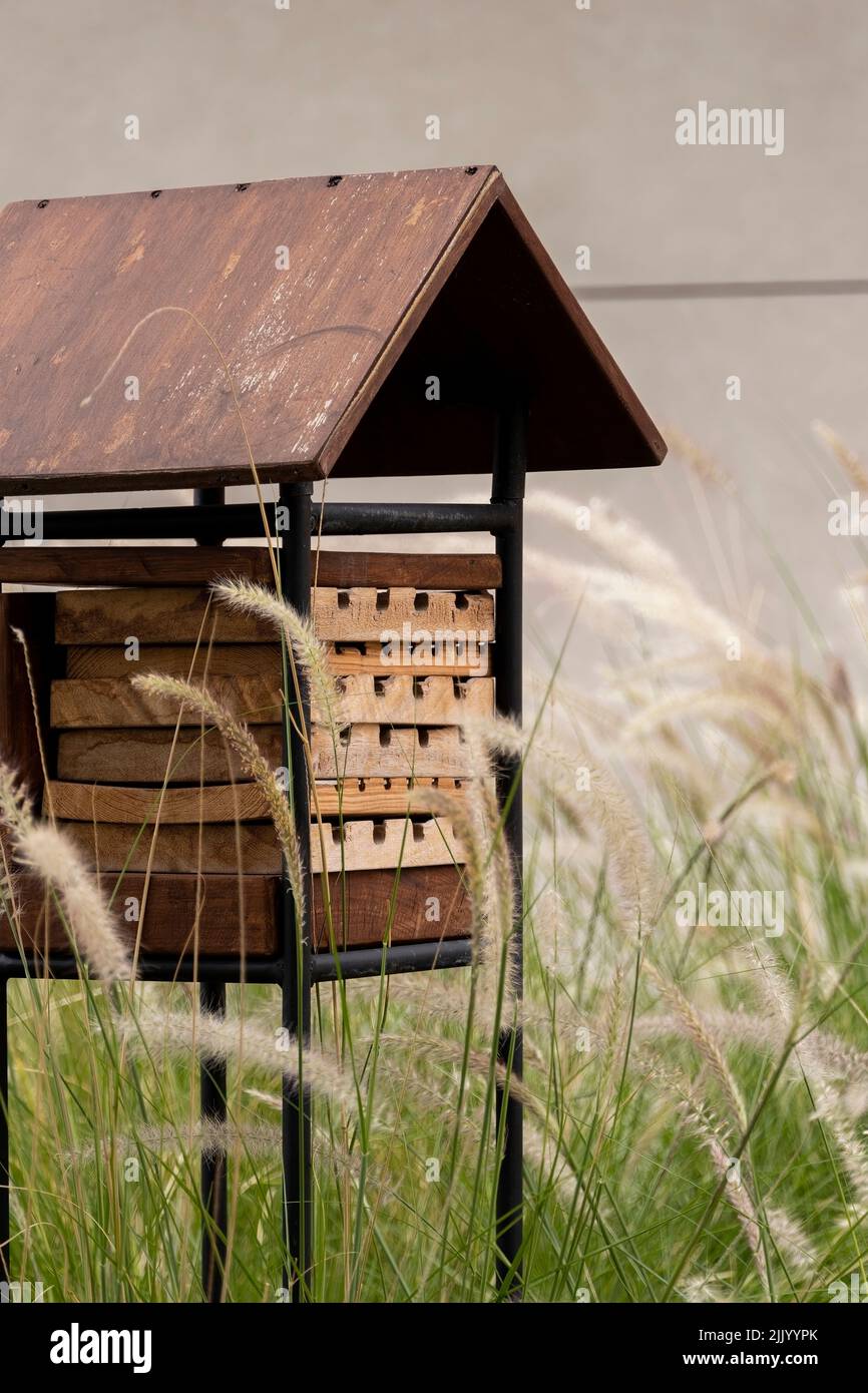 Rest house for bees, hive for bees Stock Photo - Alamy