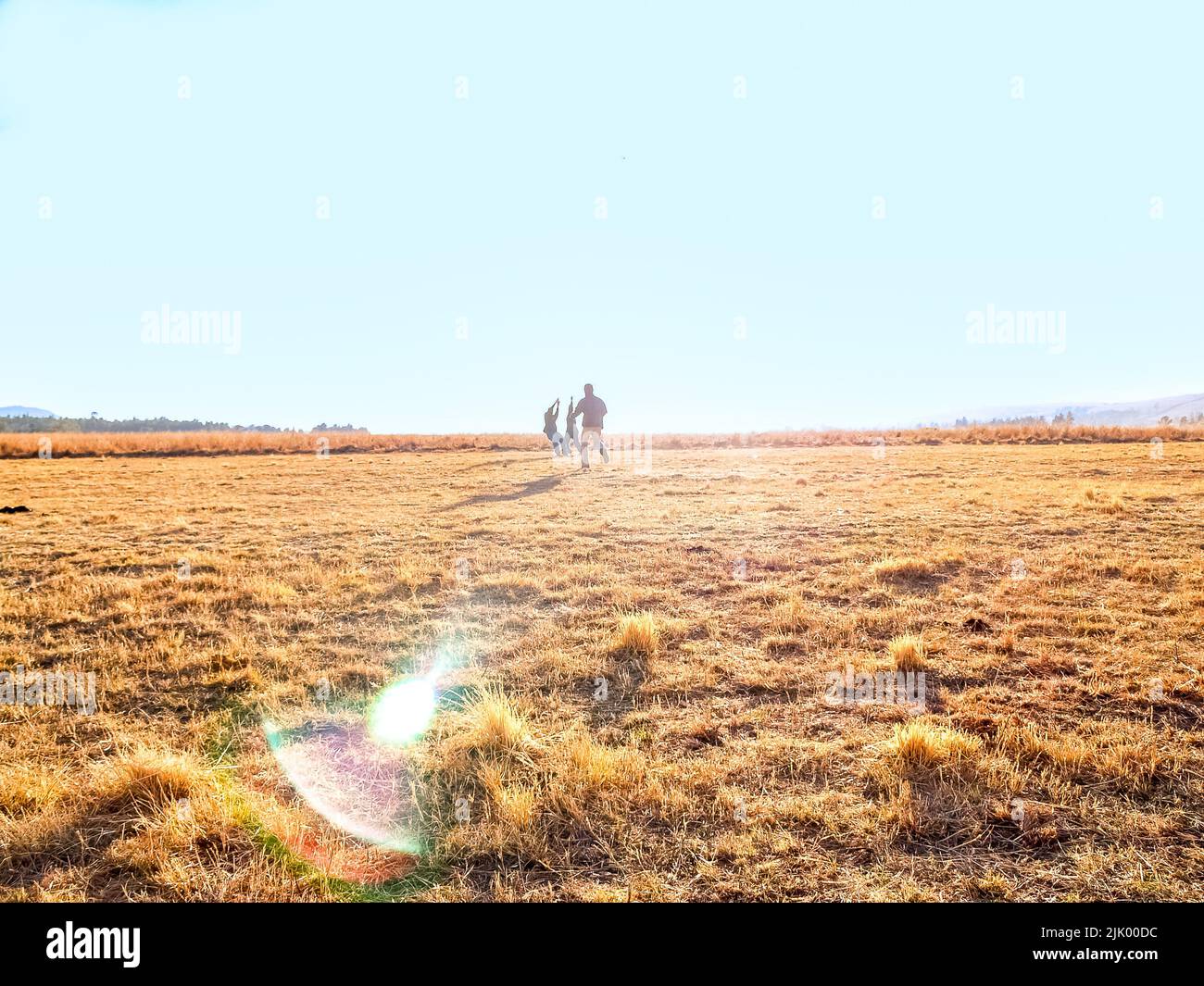 Three people in distant blurred effect running across golden African ...