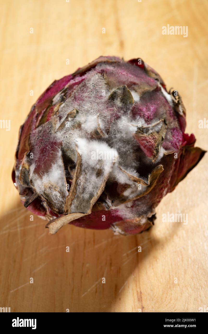 Rotten dragon hi-res stock photography and images - Alamy