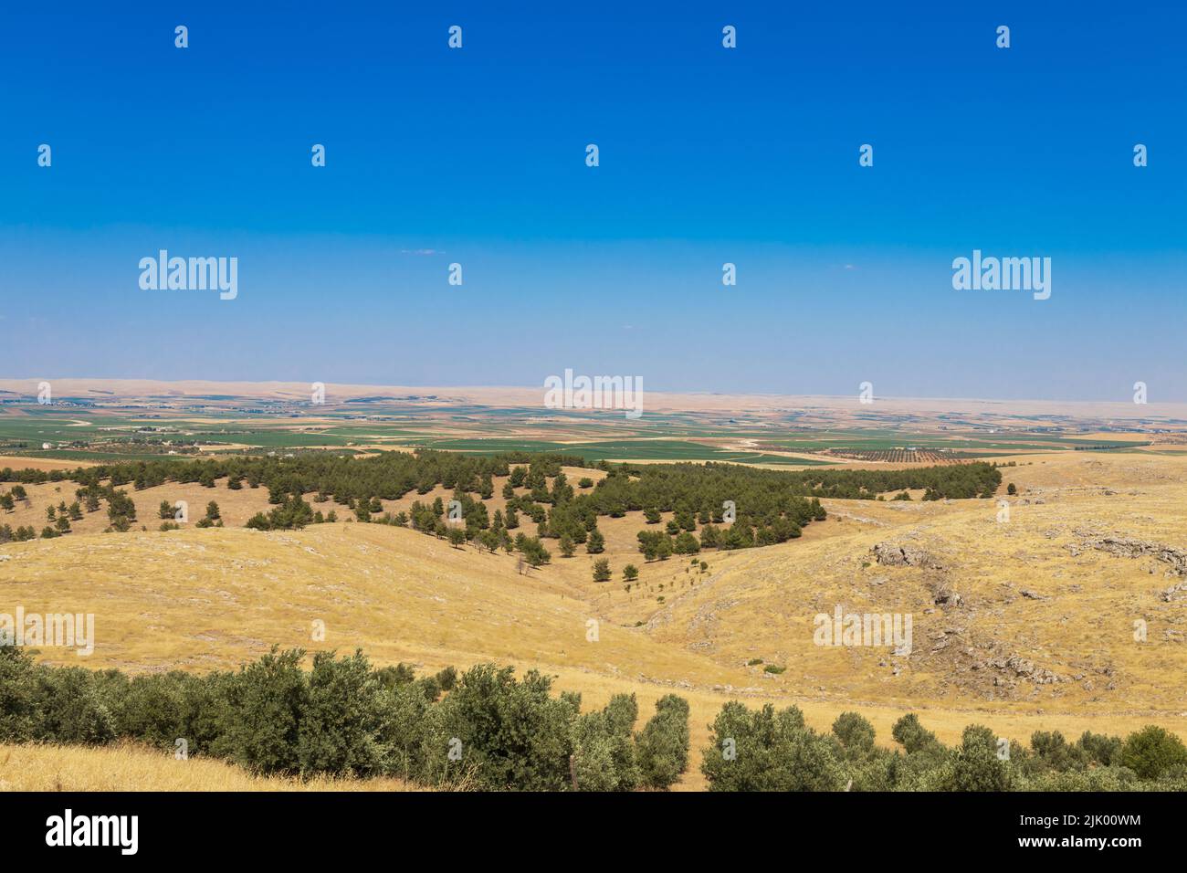 Panoramic view of beautiful nature Stock Photo - Alamy