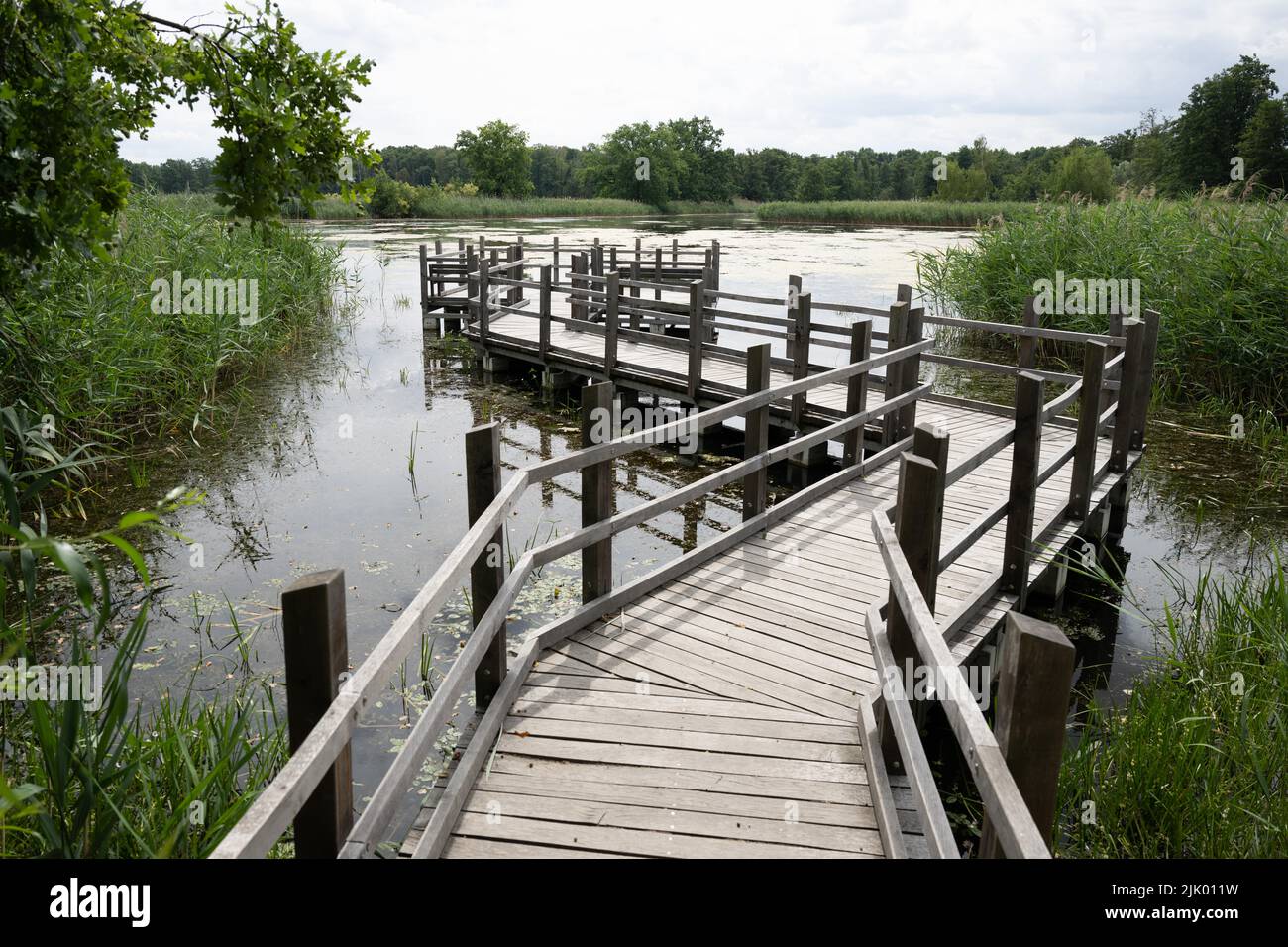 Rangers in the service of fauna and flora hi-res stock photography and ...