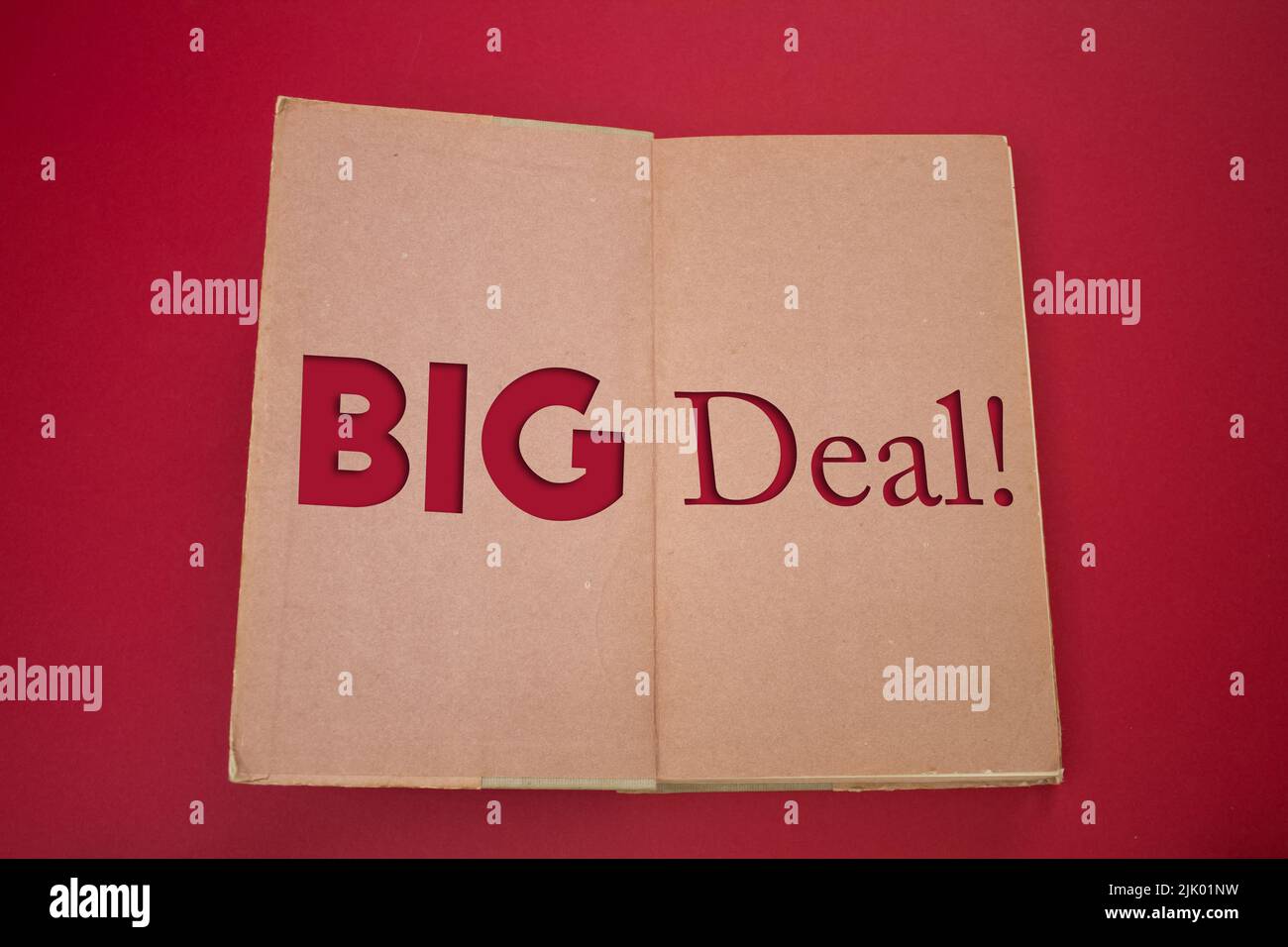 Big Deal word in opened book with vintage, natural patterns old antique ...