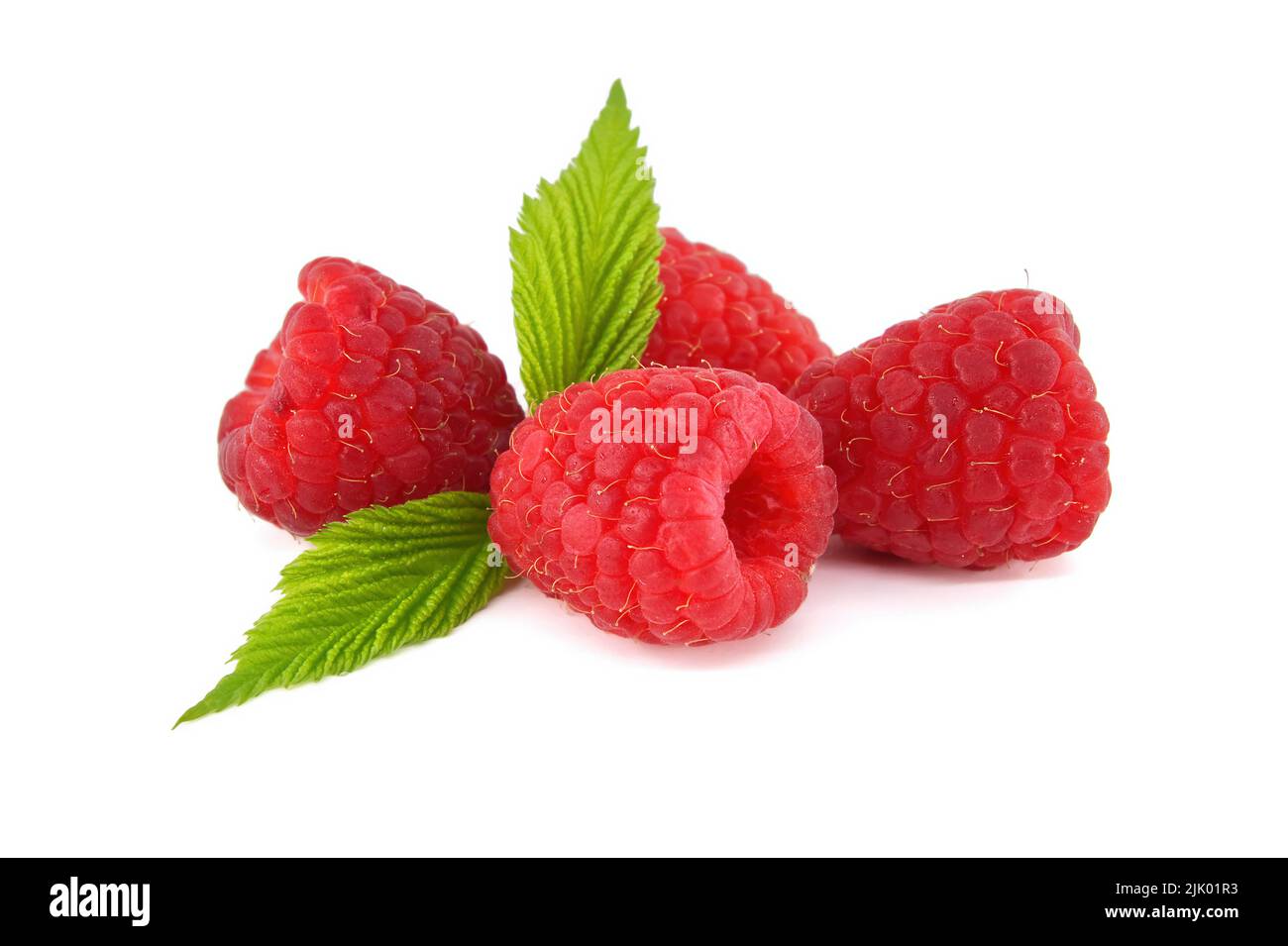 Red ripe raspberry berries with green leaves. Side view, isolated on ...