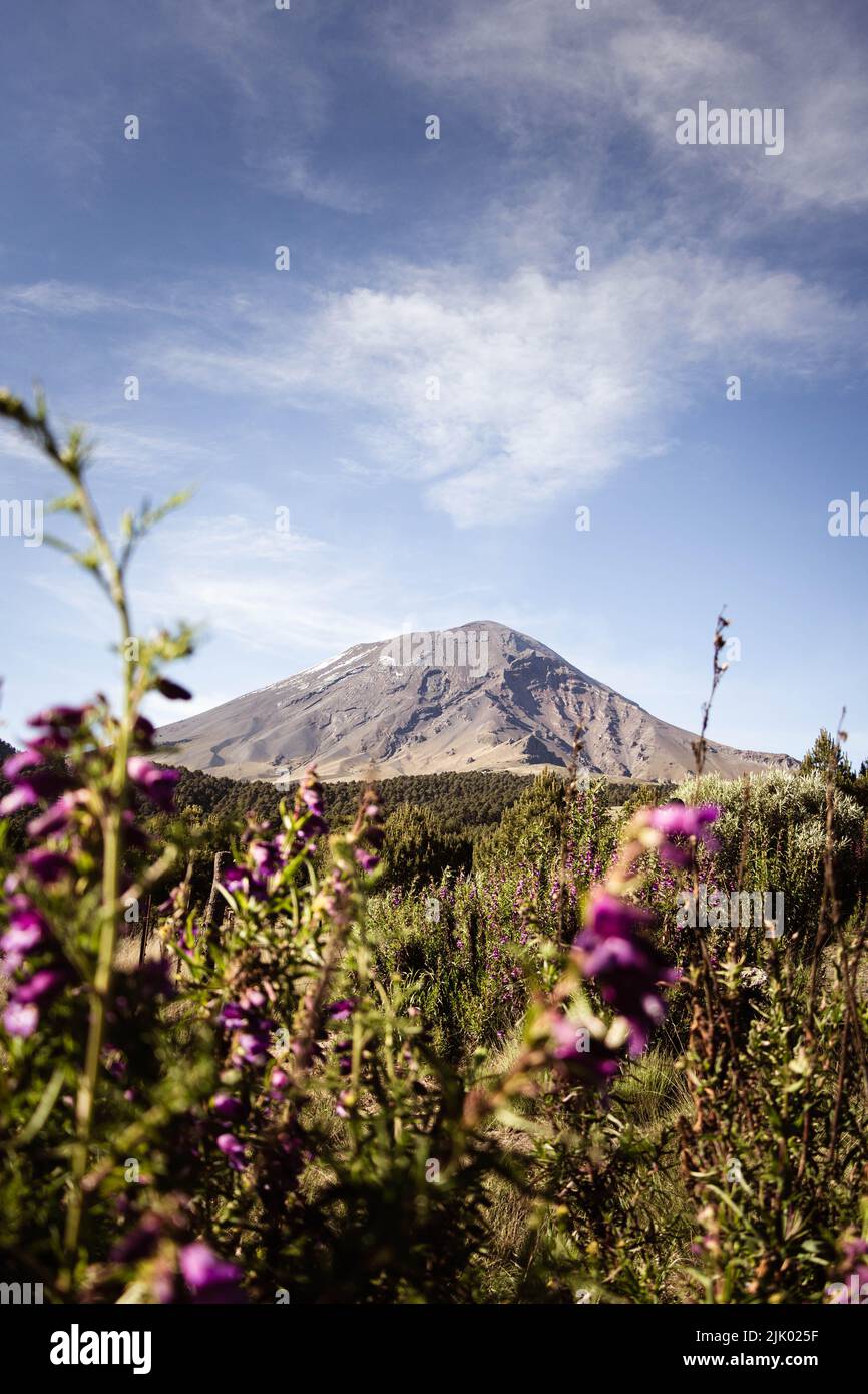 Volcano in the middle of the forest, mountains landscape Stock Photo ...