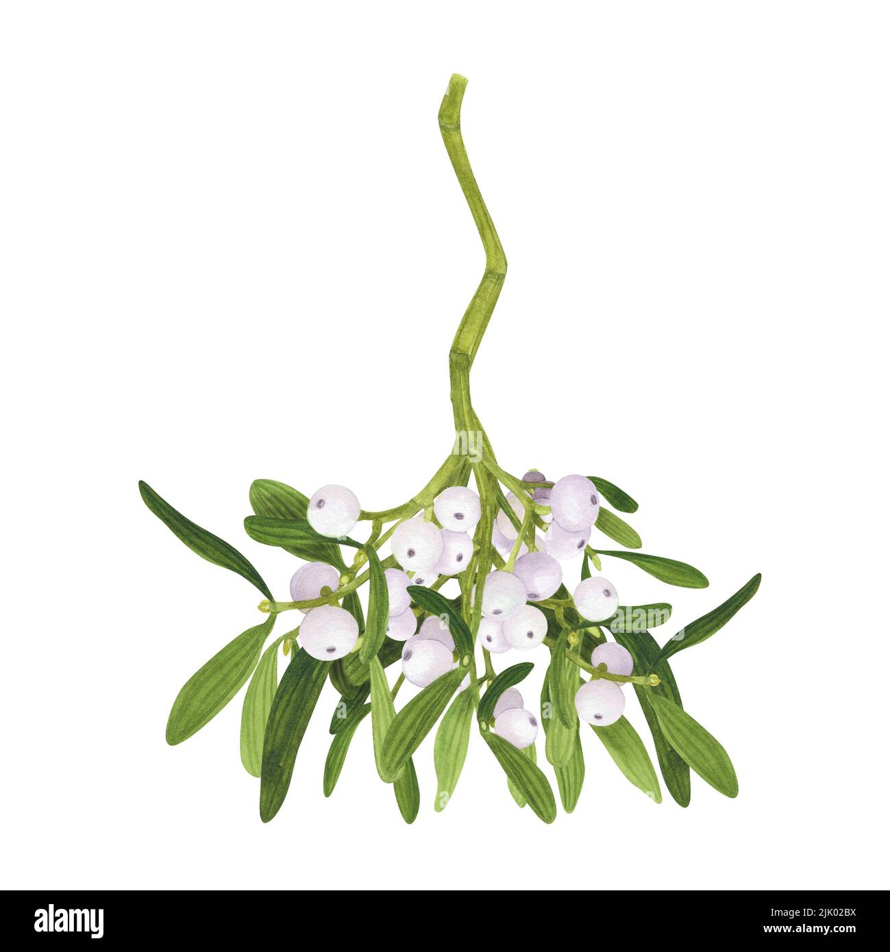 Victorian christmas card green Cut Out Stock Images & Pictures - Alamy