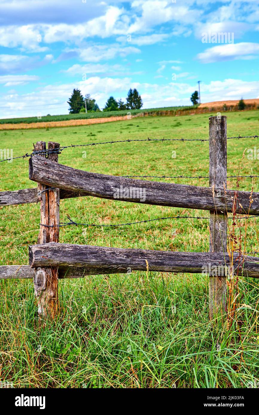Beautiful, natural green farm field with grass growing around a barbed ...