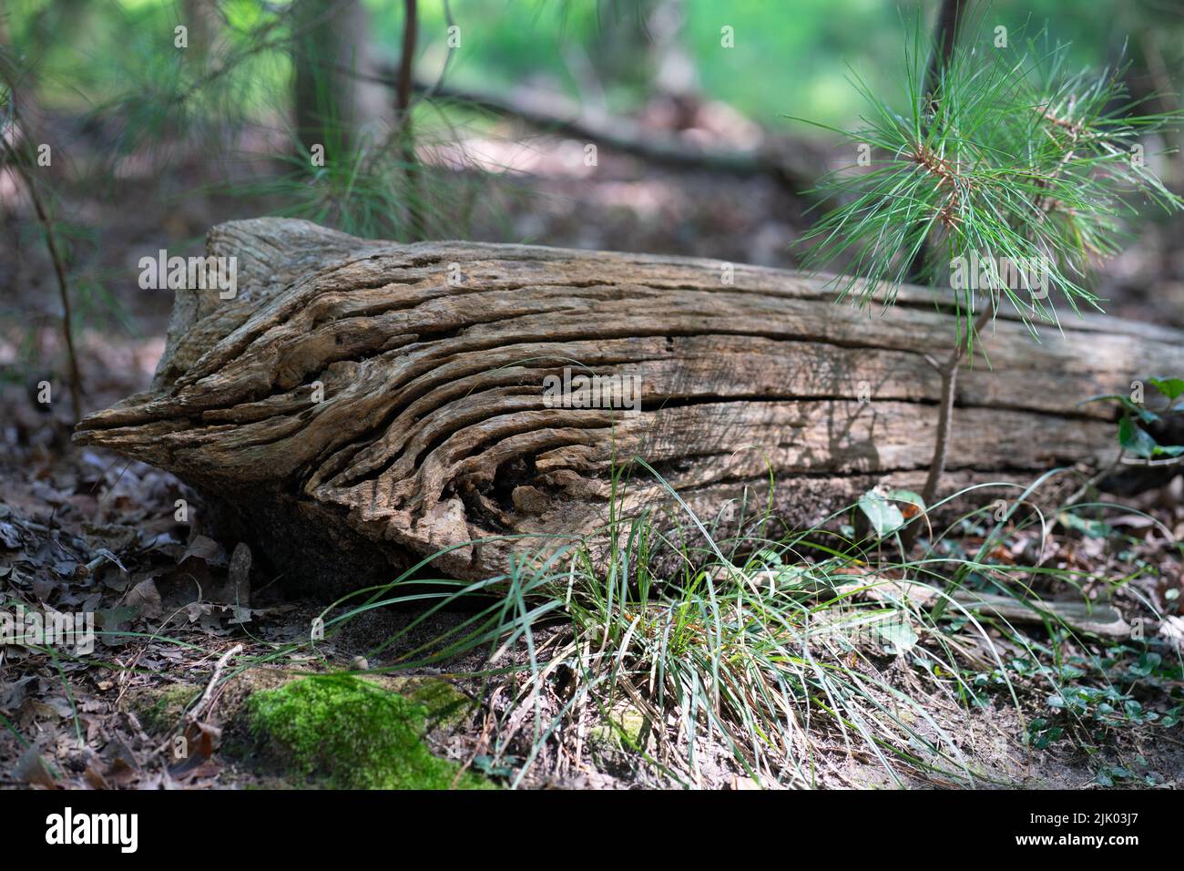 Ground resources hi-res stock photography and images - Alamy