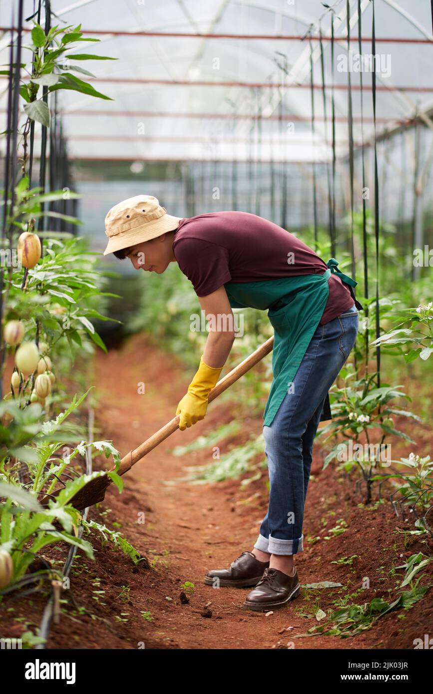 Asian young man digging soil in greenhouse Stock Photo - Alamy