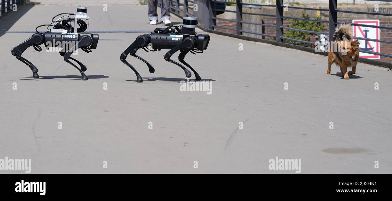 Hamburg, Germany. 11th July, 2022. Two robot dogs from the Institute ...