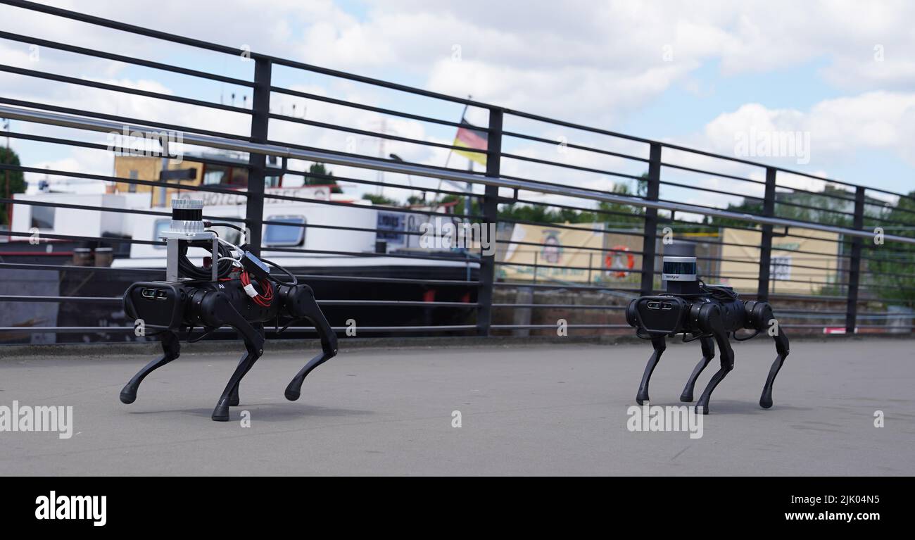 Hamburg, Germany. 11th July, 2022. Two robot dogs from the Institute ...