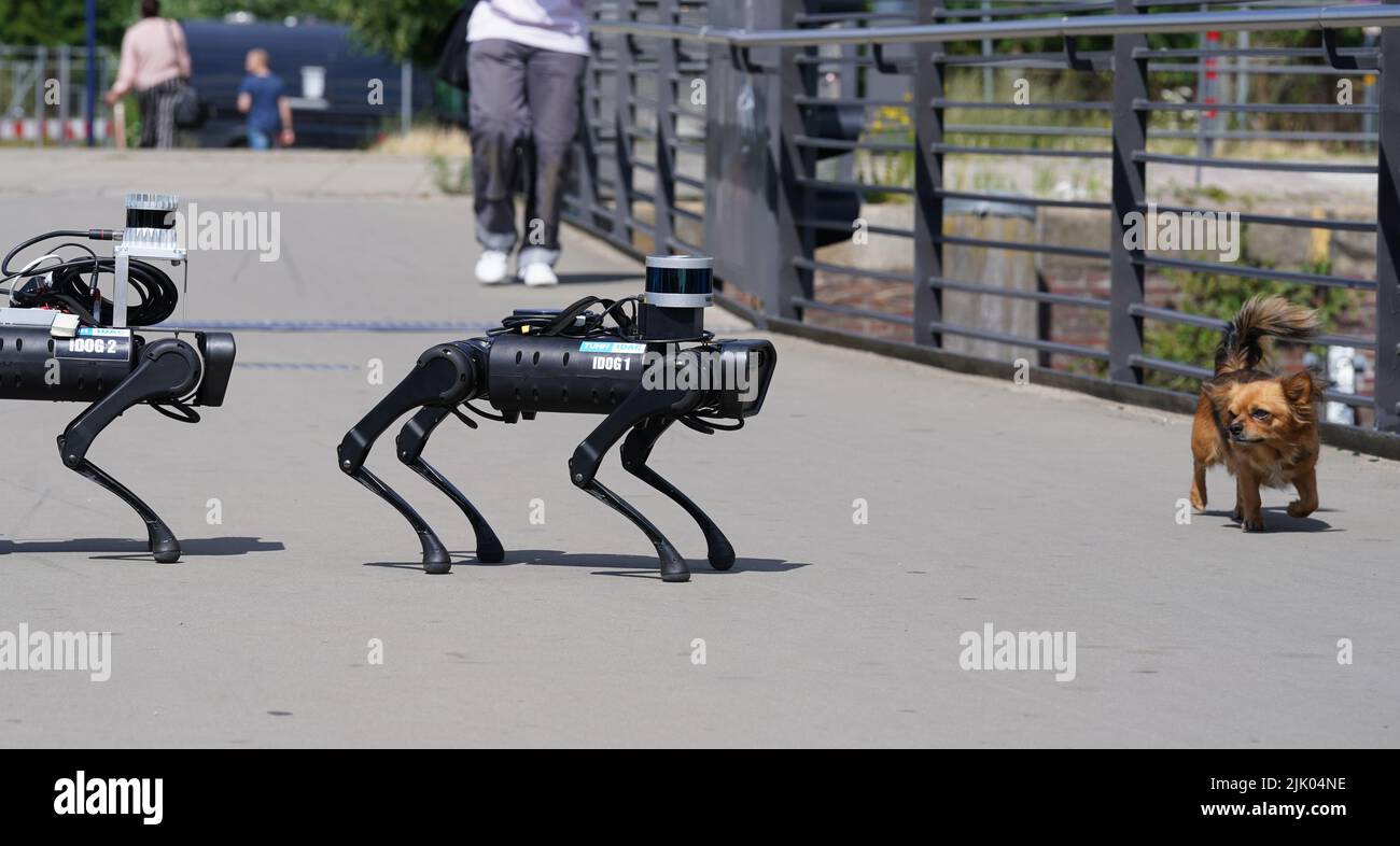 Hamburg, Germany. 11th July, 2022. Two robot dogs from the Institute ...