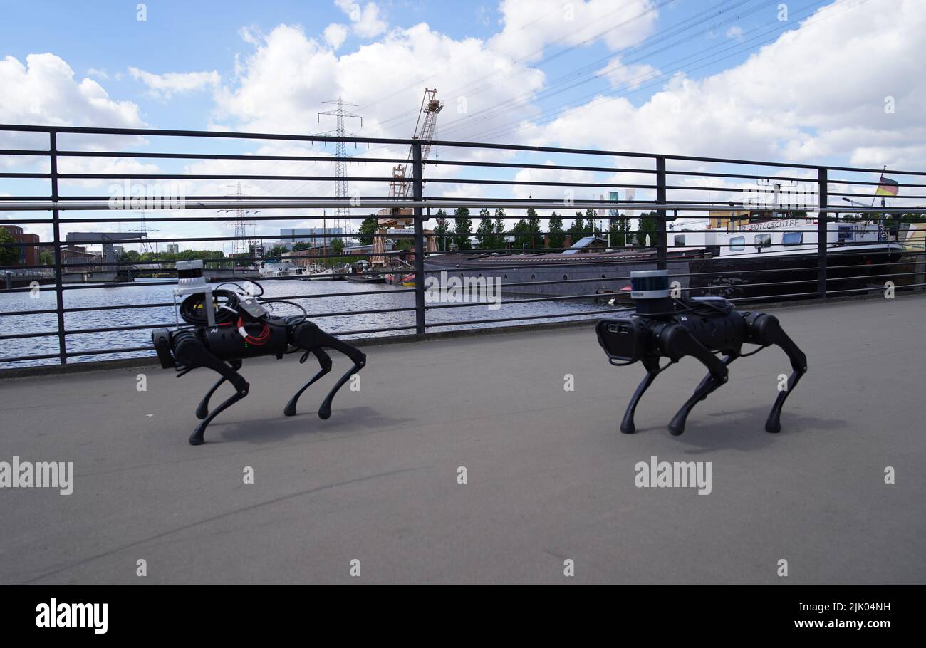 Hamburg, Germany. 11th July, 2022. Two robot dogs from the Institute ...