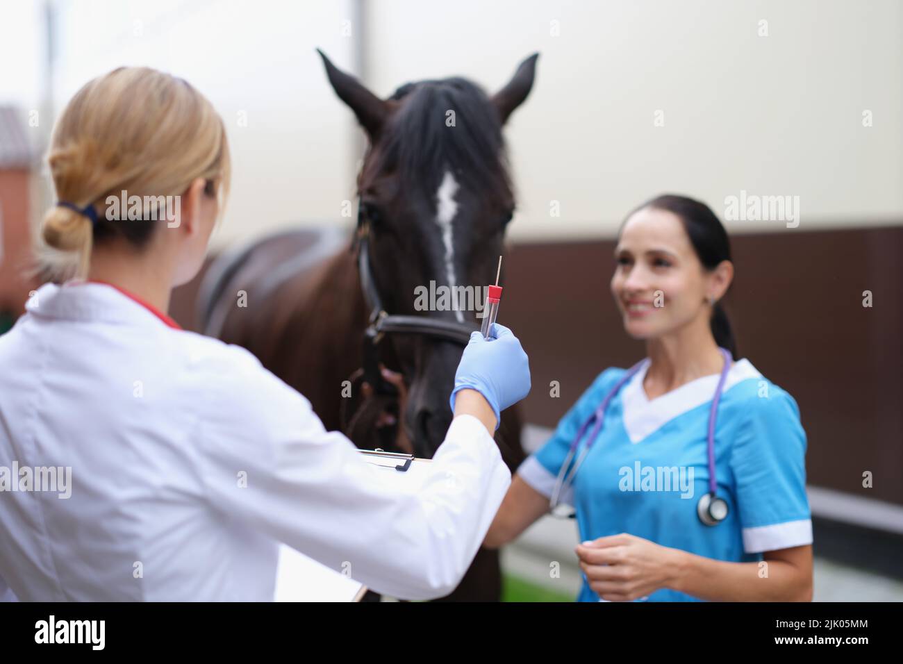 Horse blood testing hi-res stock photography and images - Alamy