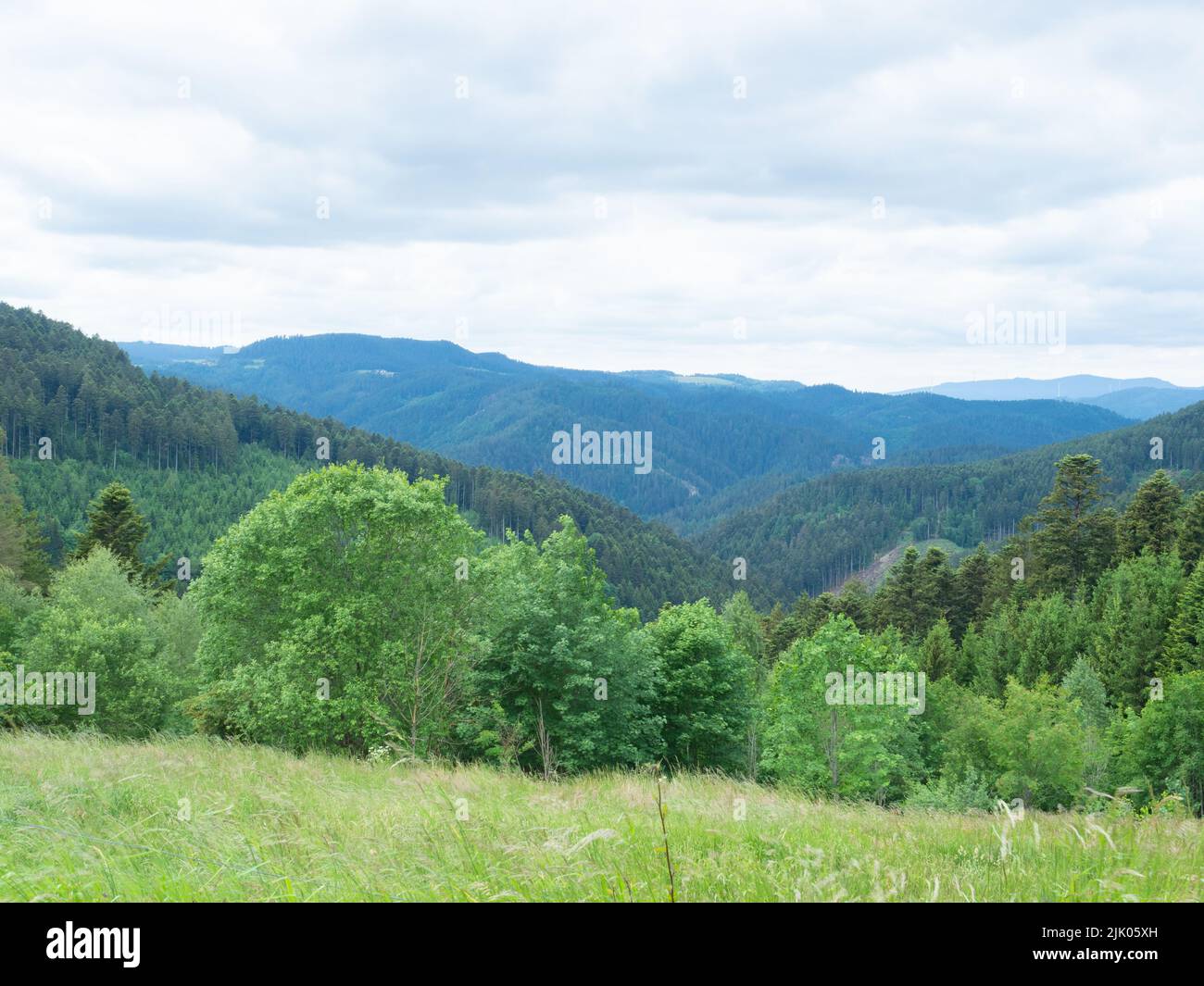 Black Forest, Germany - May 29th 2022: Typical landscape with hills ...