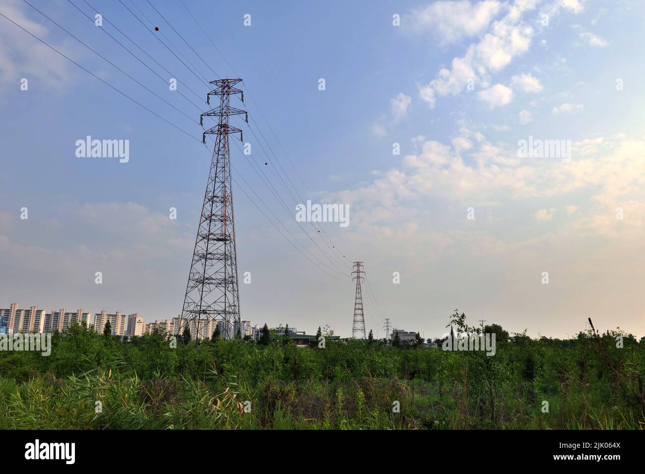 paddy field and electricity tower Stock Photo - Alamy