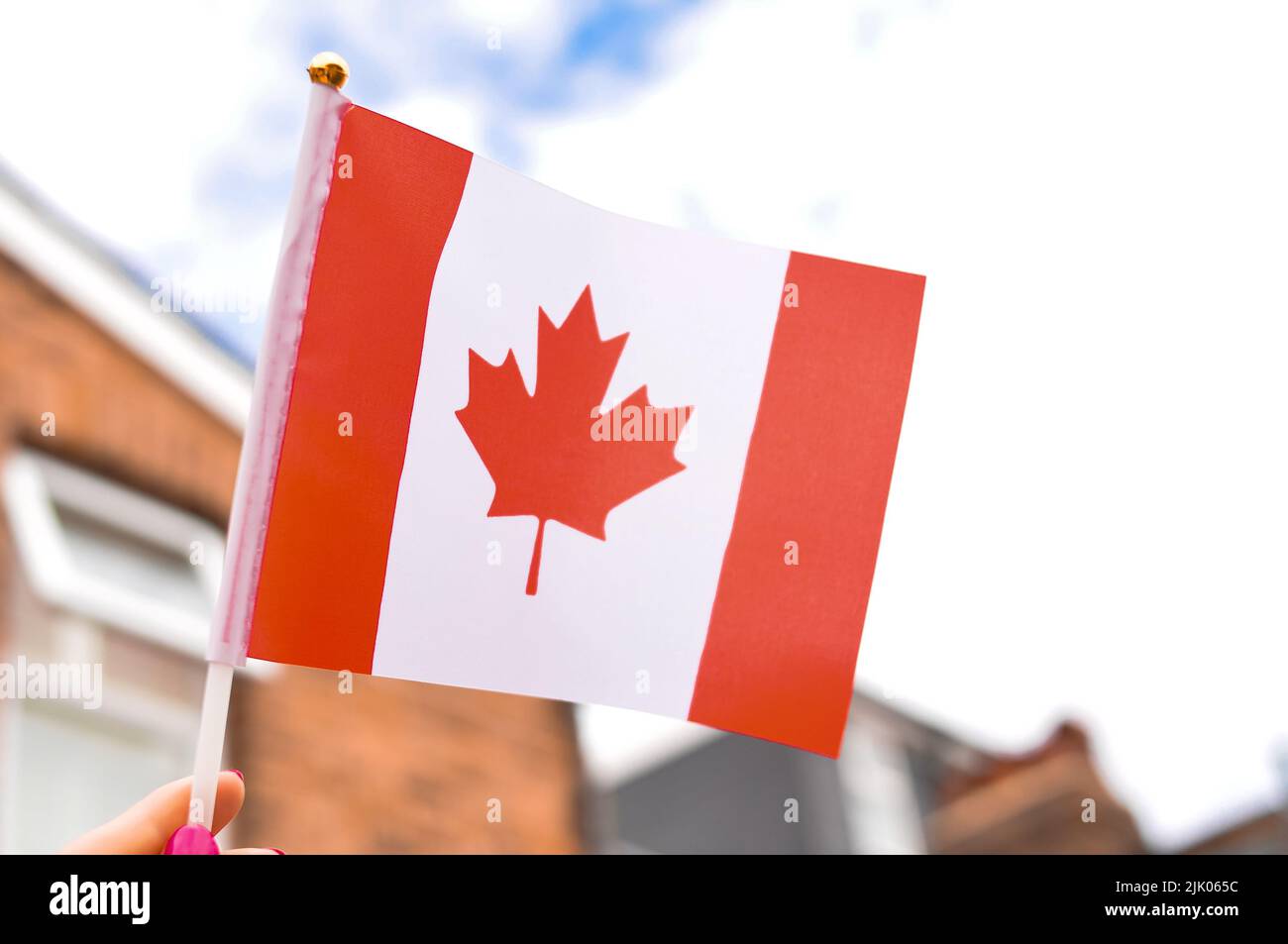 National flag of Canada white and red colors with marple leave Stock ...