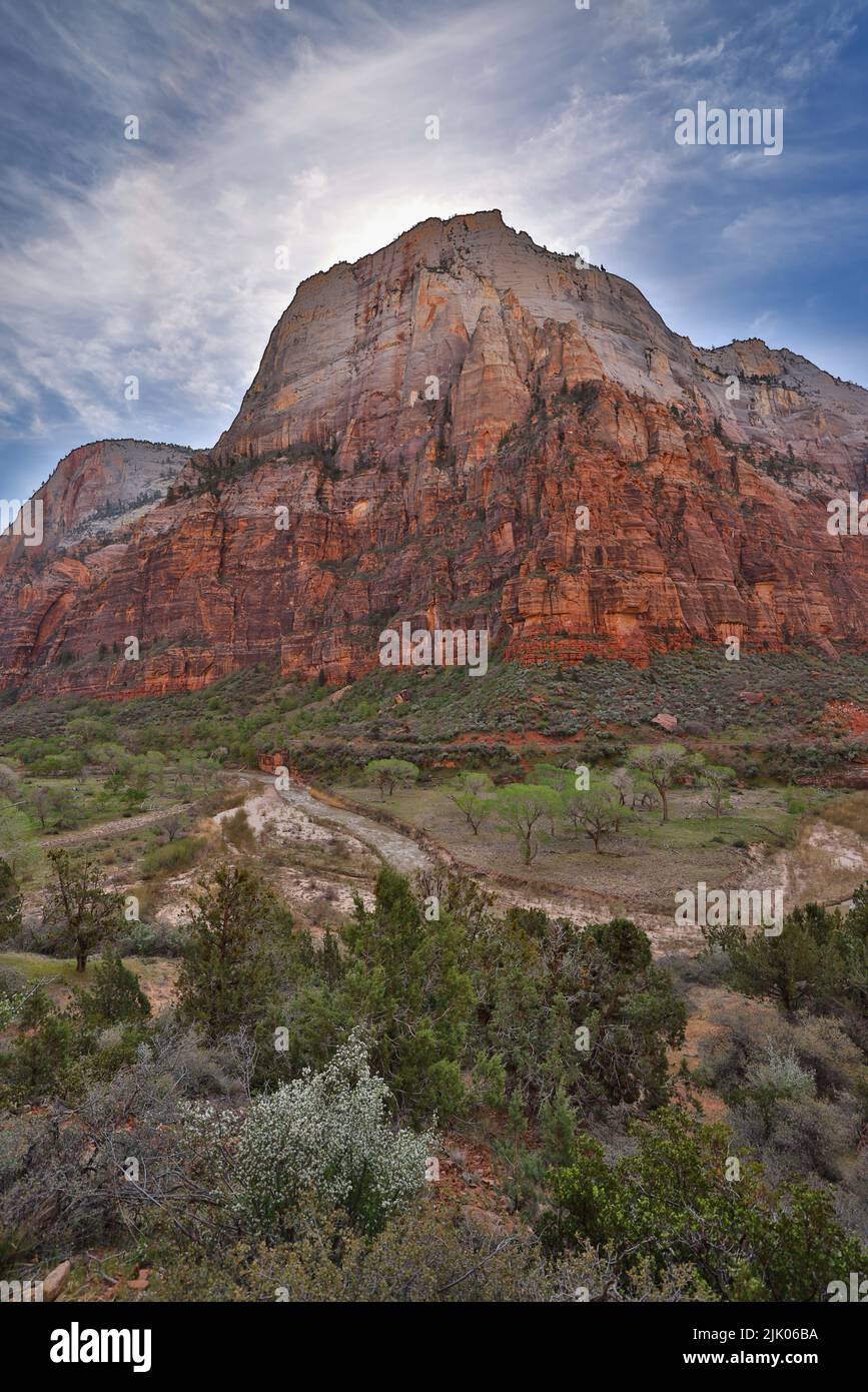 a vertical shot of Angels Landing Trail, beautiful views over the ...