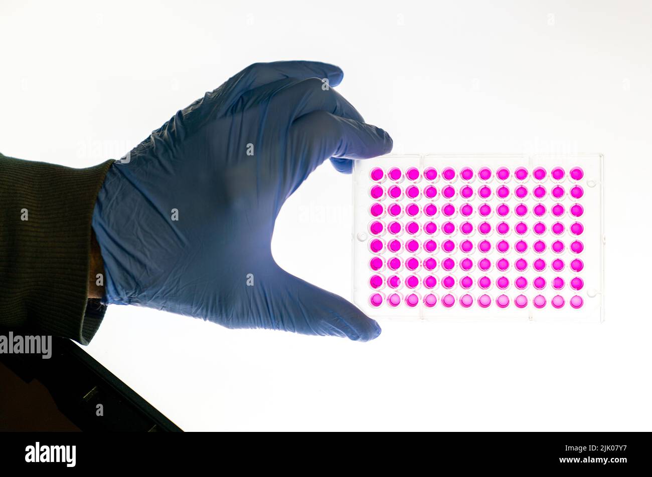 A microplate or microtiter plate or microwell plate, multiwell, is a ...