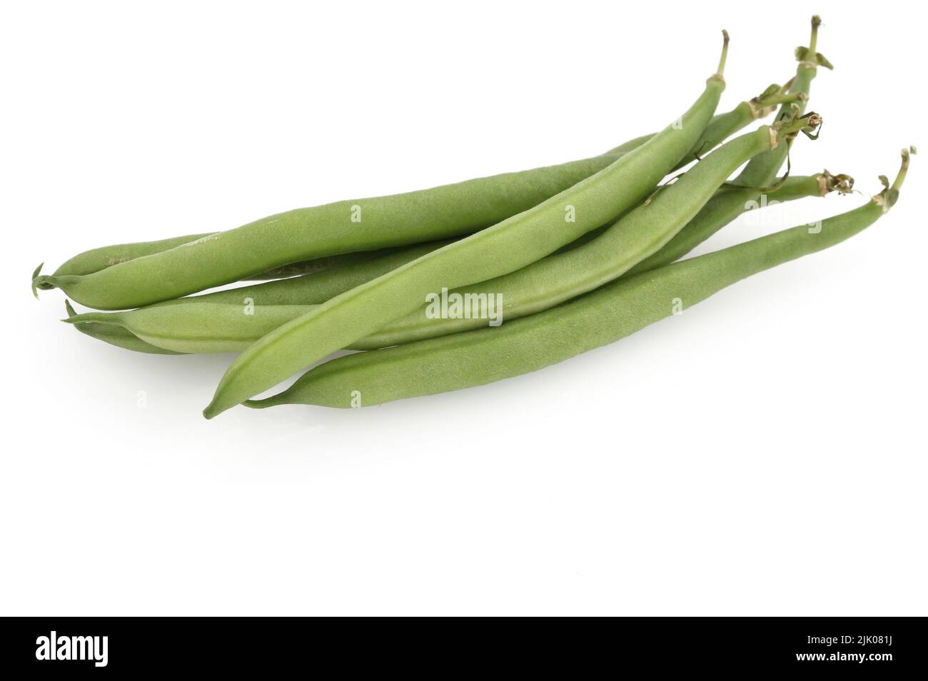 Bush beans (Phaseolus vulgarism) on white background Stock Photo - Alamy
