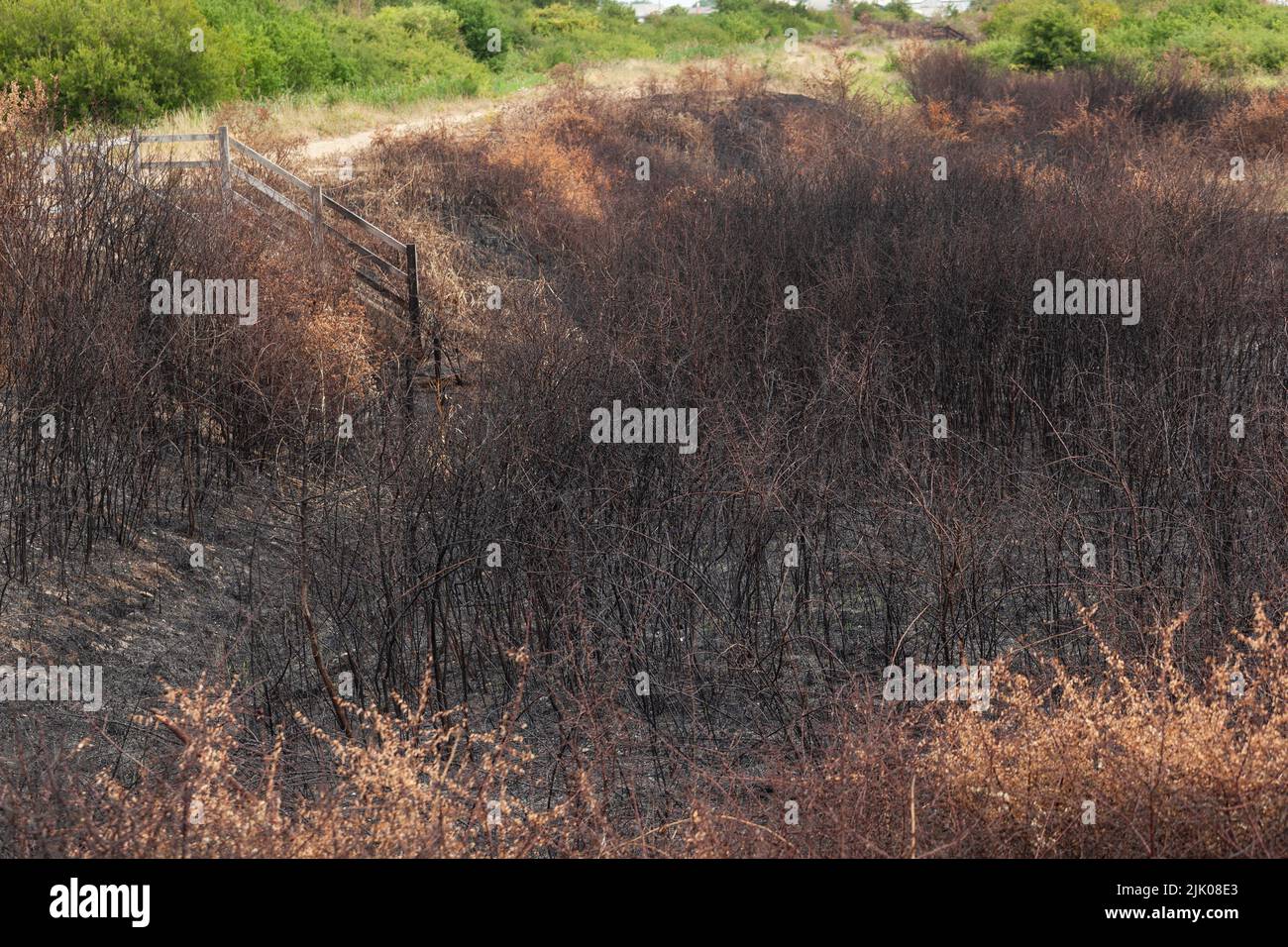 Fire bugs arson hi-res stock photography and images - Alamy
