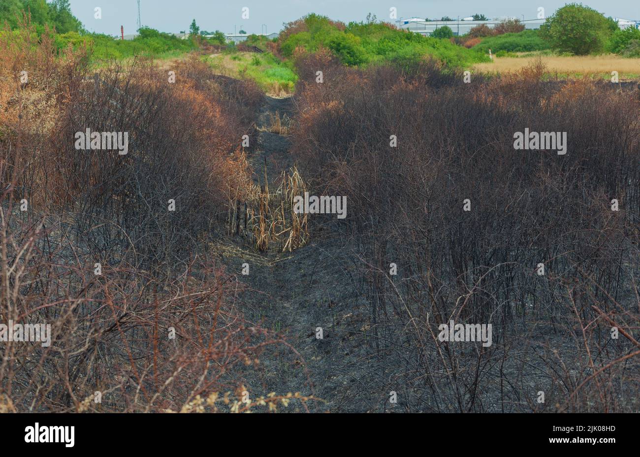 Fire bugs arson hi-res stock photography and images - Alamy