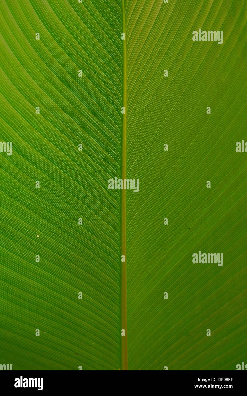 An epic line up hi-res stock photography and images - Alamy