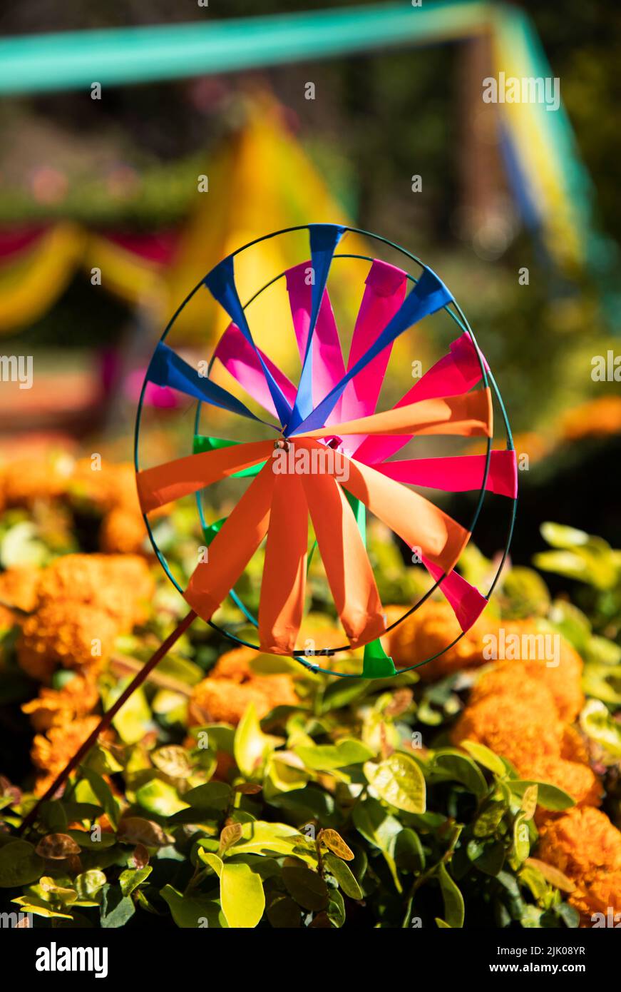 Pinwheel paper hi-res stock photography and images - Alamy