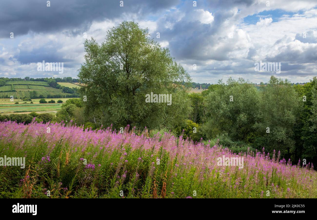 Brede level hi-res stock photography and images - Alamy