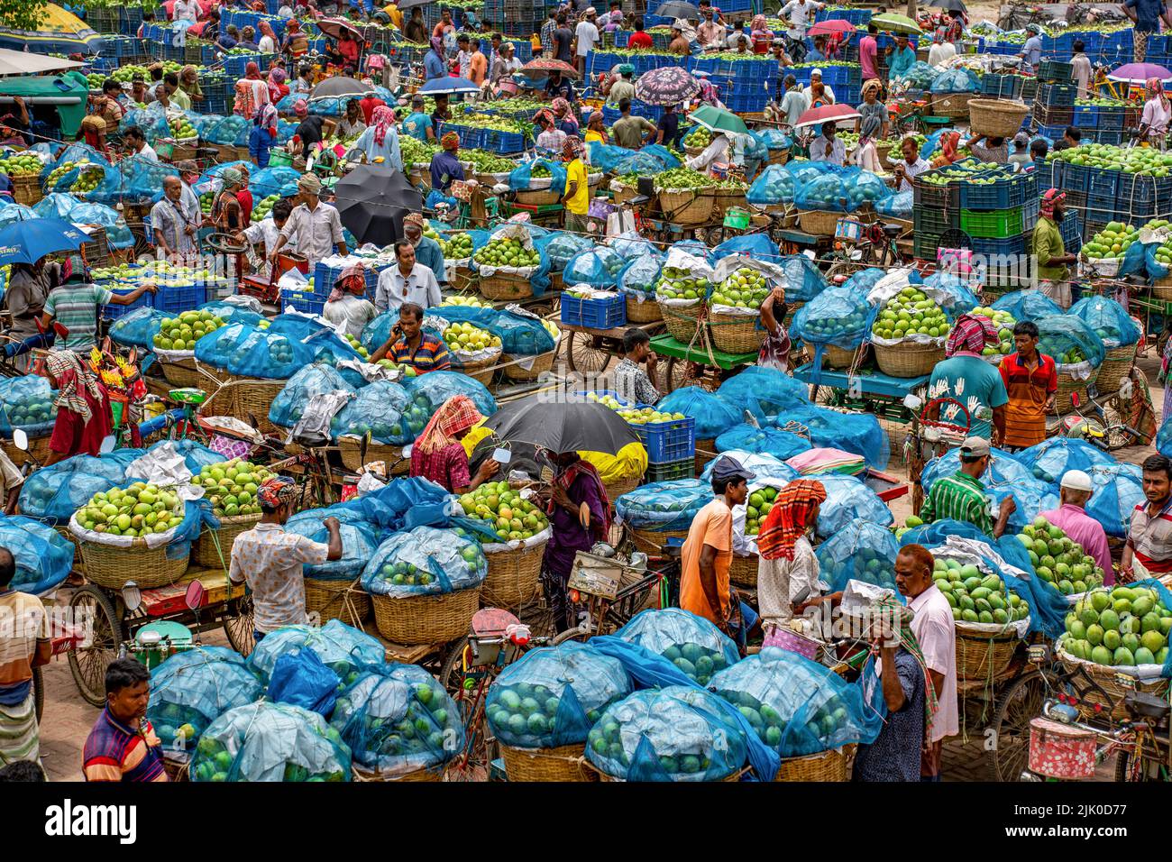 Bangladesh mango hi-res stock photography and images - Alamy