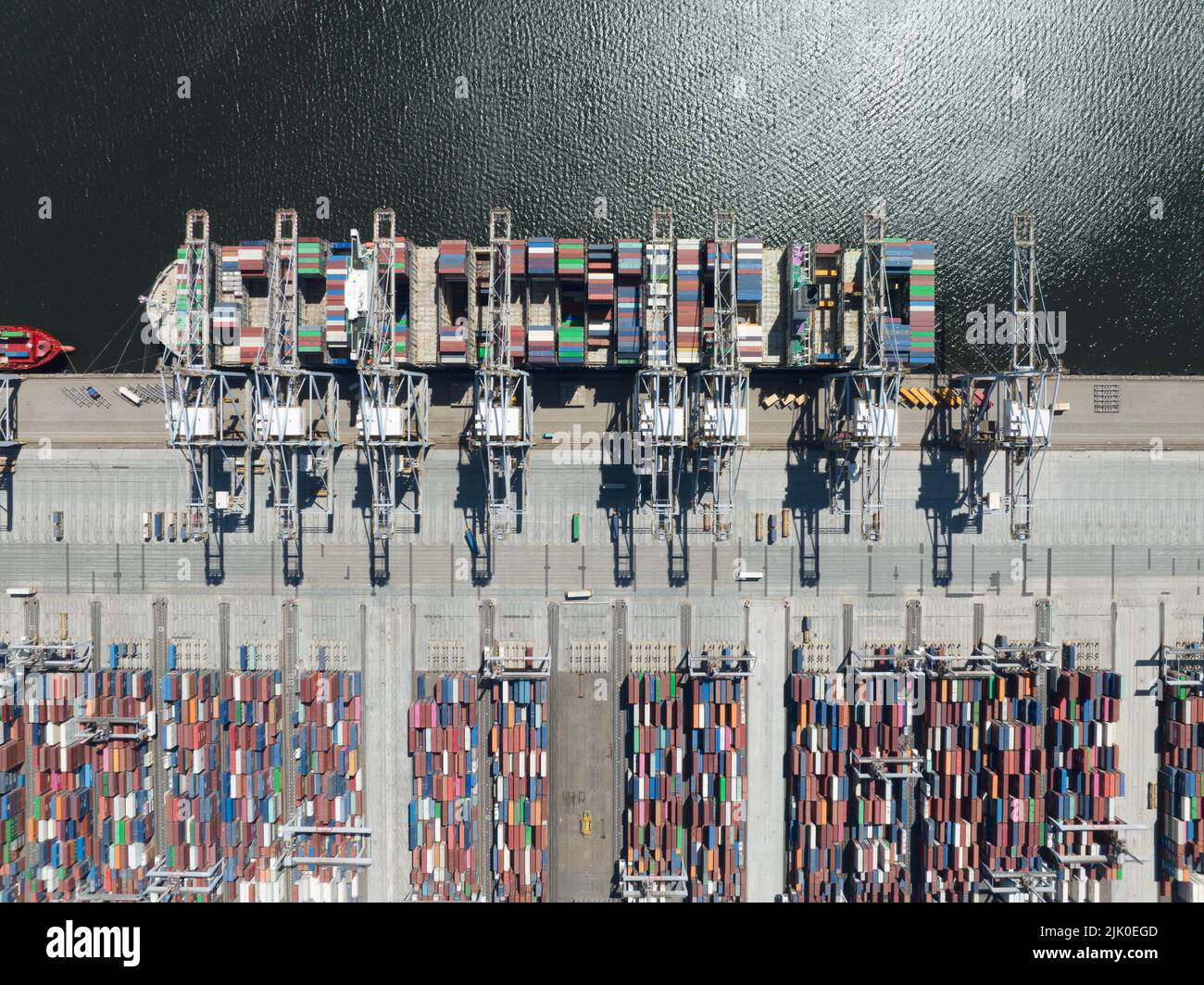 Container shipping terminal in the port harbour. import export and ...