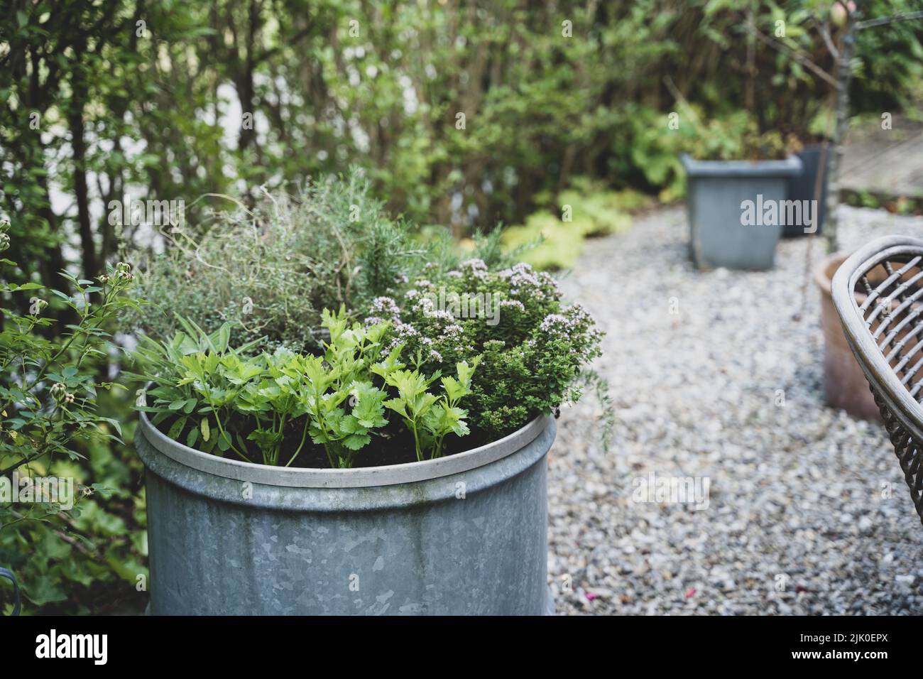 Gourmet garden herbs hi-res stock photography and images - Alamy