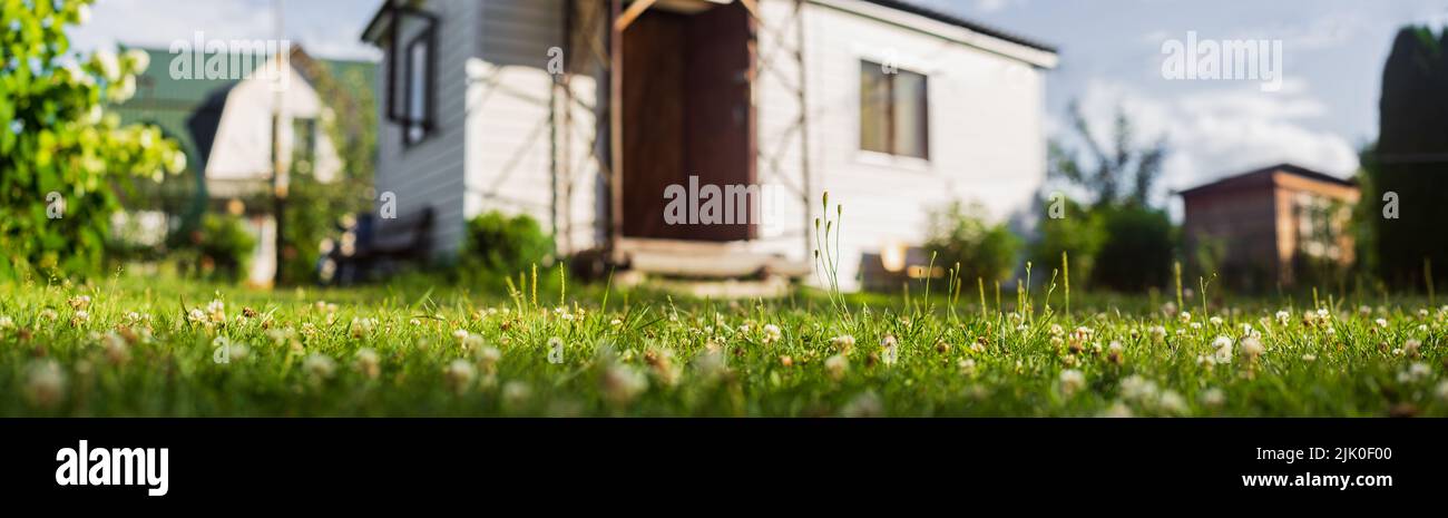 Background panorama of flowers in the yard. Beautiful natural ...