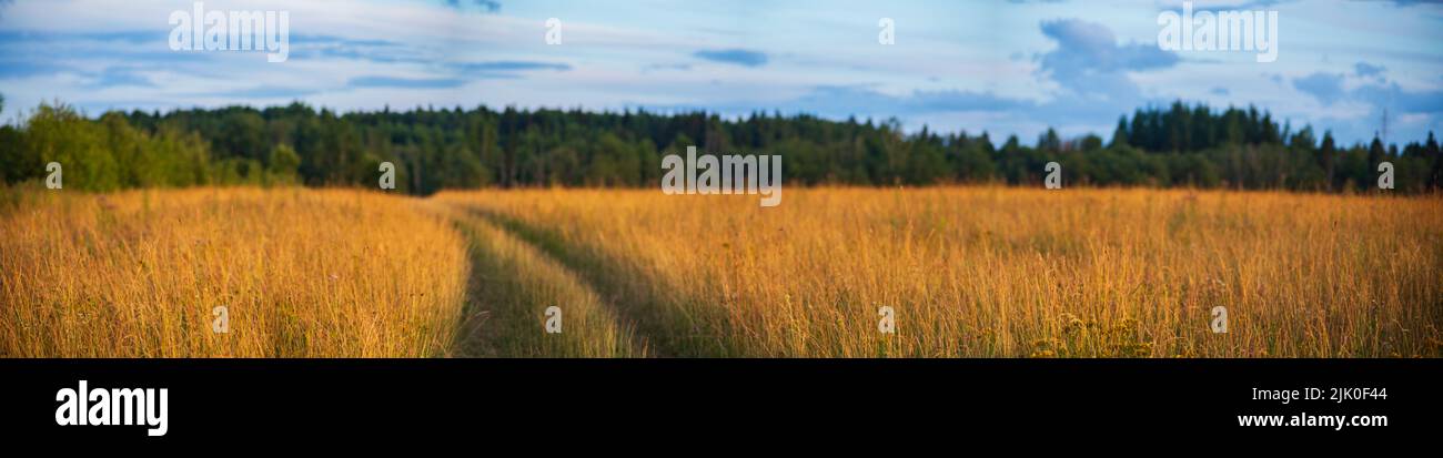 Rural road in the middle of an agricultural field. Beautiful natural ...