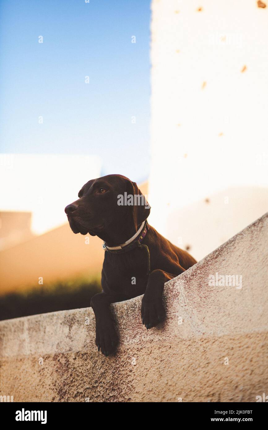 Sit on parapet hi-res stock photography and images - Alamy