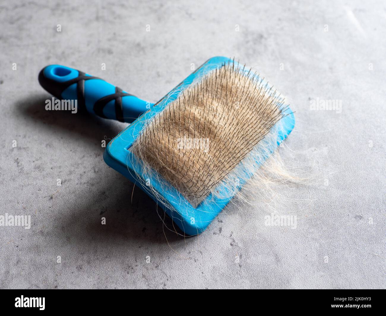 dogs grooming brush with fur from pet on the bristles Stock Photo - Alamy