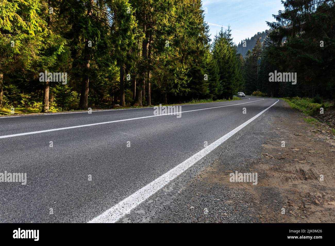 Empty rural highway alpine mountan road at high coniferous pine tree ...