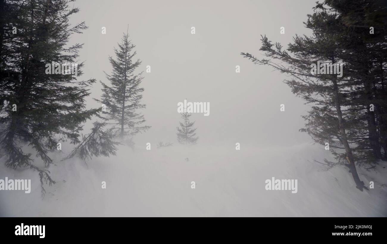 traveler on snowy mountain in winter. hiking in winter extreme weather ...