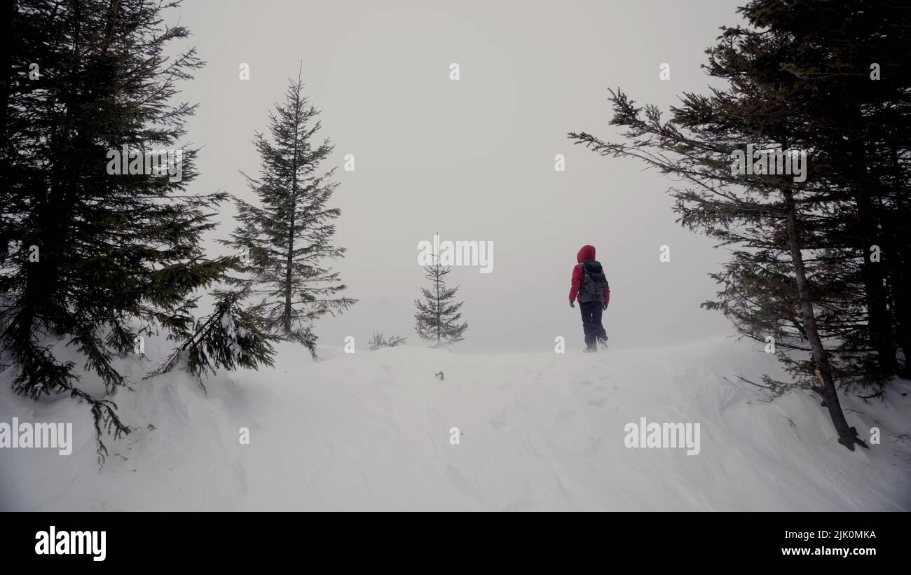 traveler on snowy mountain in winter. hiking in winter extreme weather ...