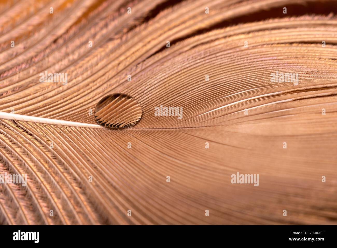 Golden droplet hi-res stock photography and images - Alamy