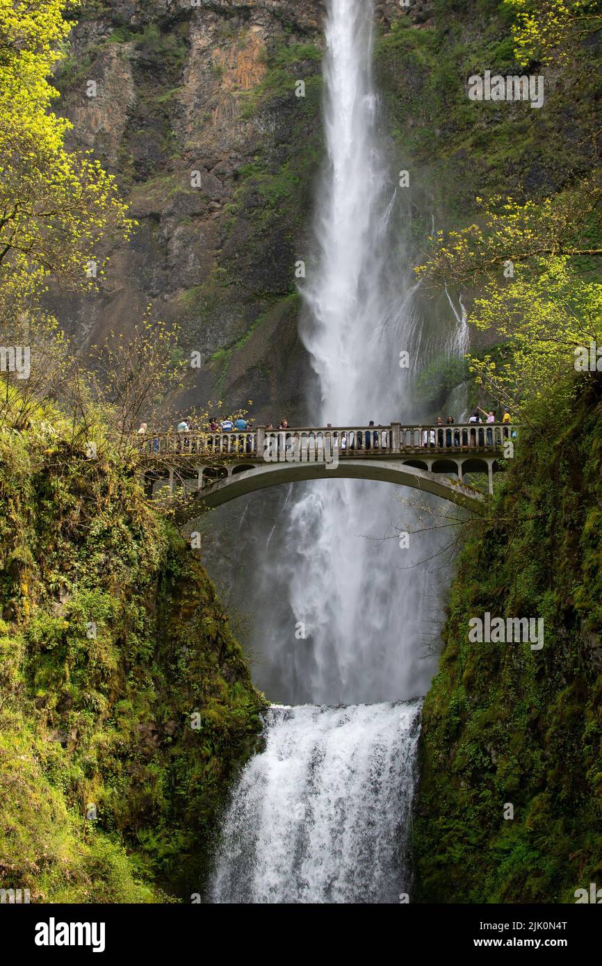 A vertical shot of people on the small bridge in front of Corbett Falls ...
