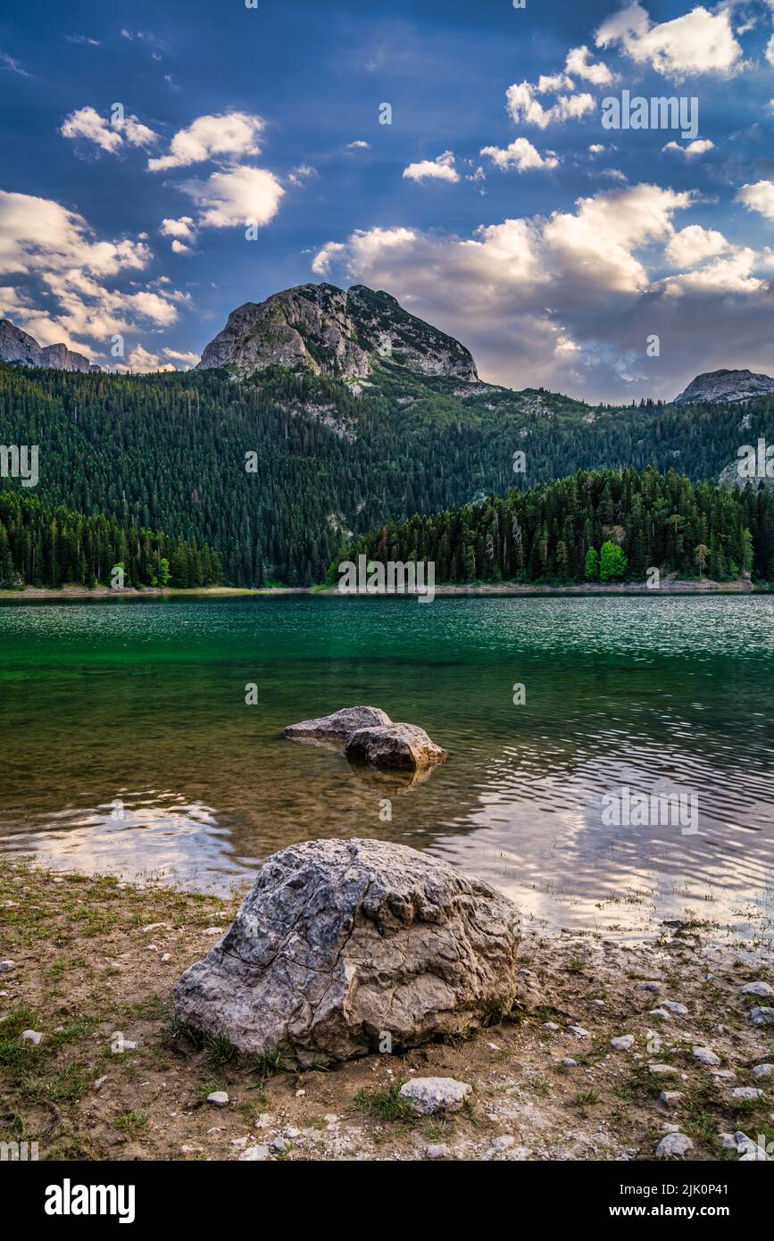 Vertical scenery of the Black Lake with Mount Durmitor and forest in ...