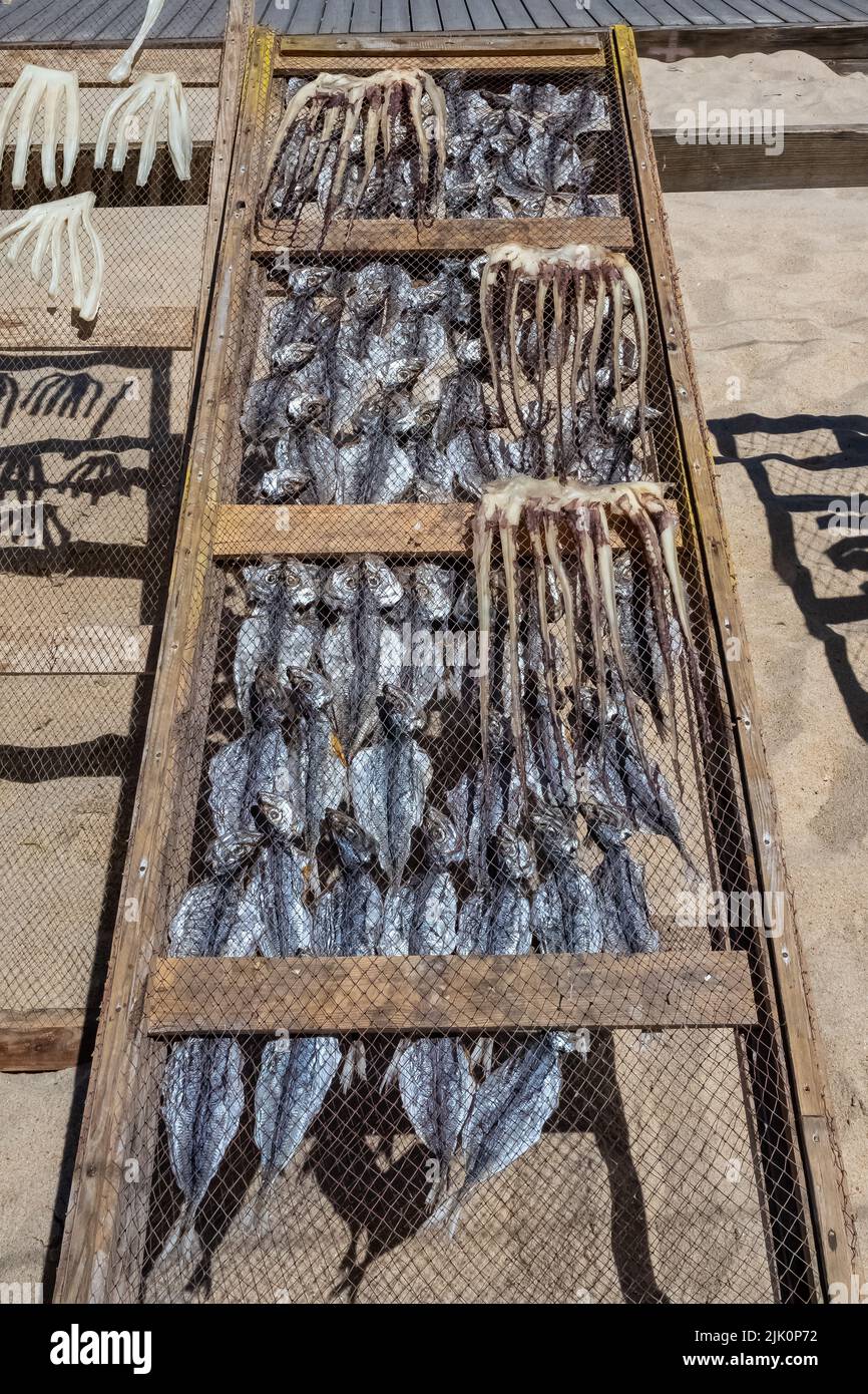 Nazare in Portugal, salted fishes sold on the beach, traditional market ...
