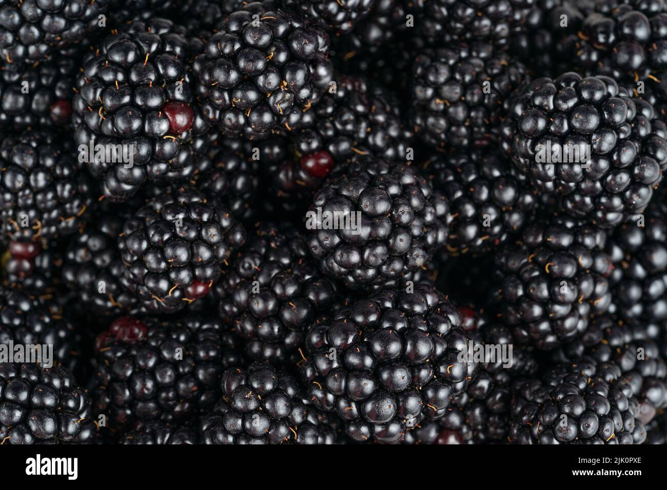 Blackberries background. Antioxidant food, directly above Stock Photo ...