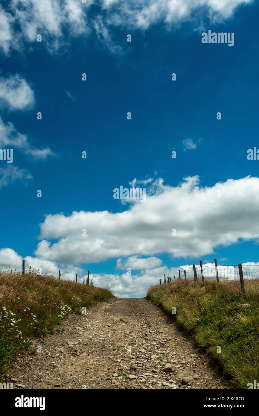 Landscape of a path stretching through the fields under the blue sky ...