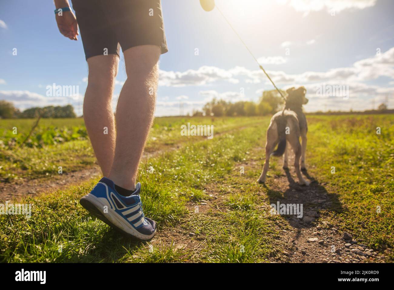 Young man walking the dog during lovely summer time, nature walk ...