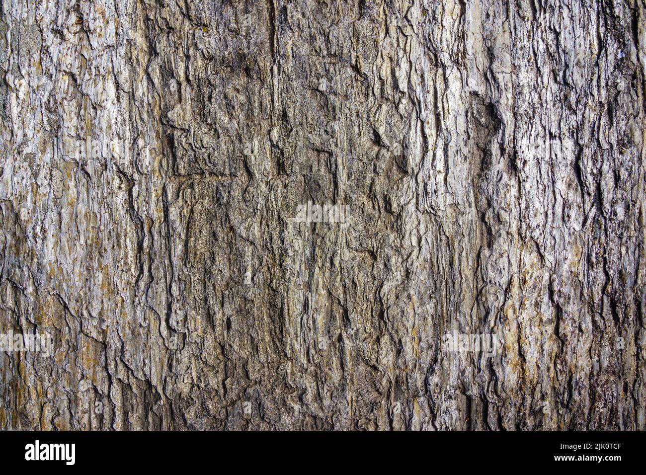 Polished and shiny ancient stone texture used for ancient architecture ...