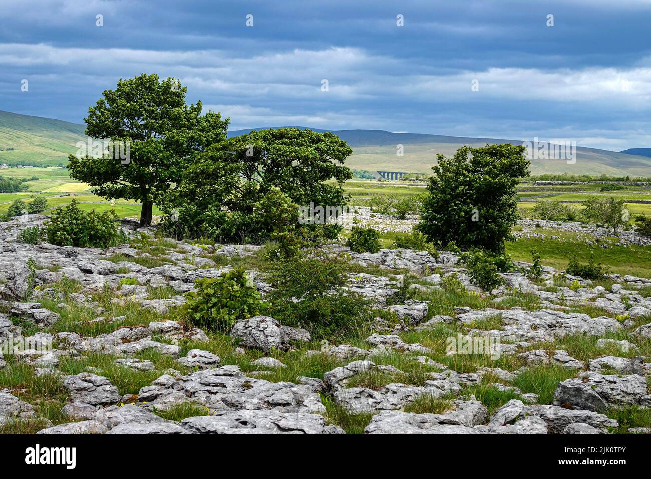 Ribblehead viaduct from the limestone pavement, Southerscales Fell ...