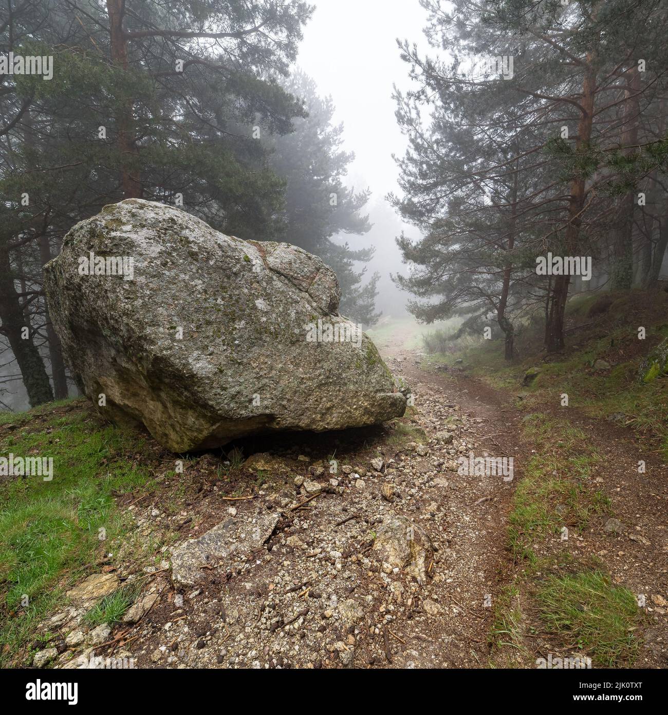 Large rock in the middle of a path that leads into the forest with ...