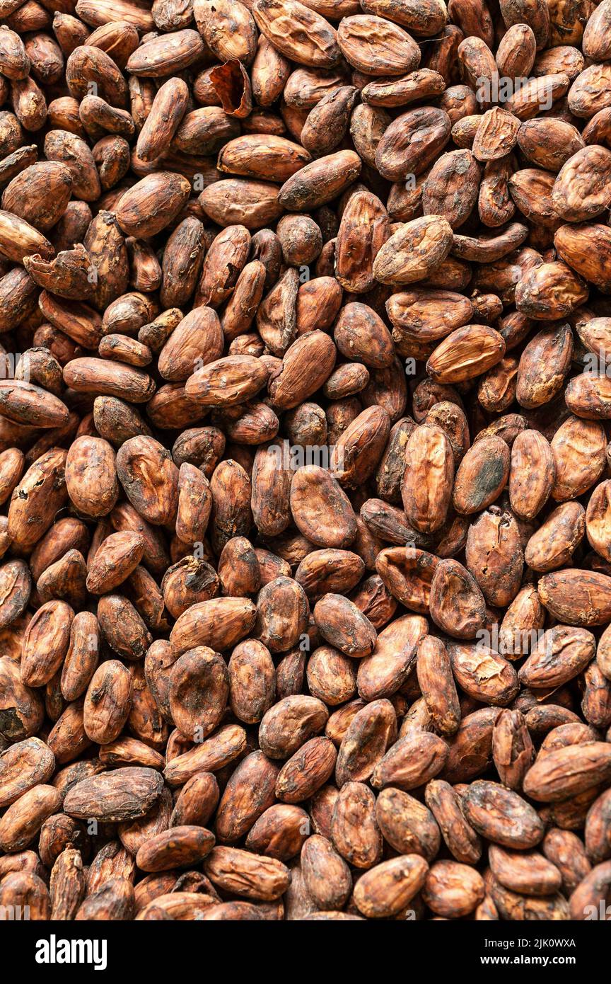Cocoa beans, full frame Stock Photo - Alamy