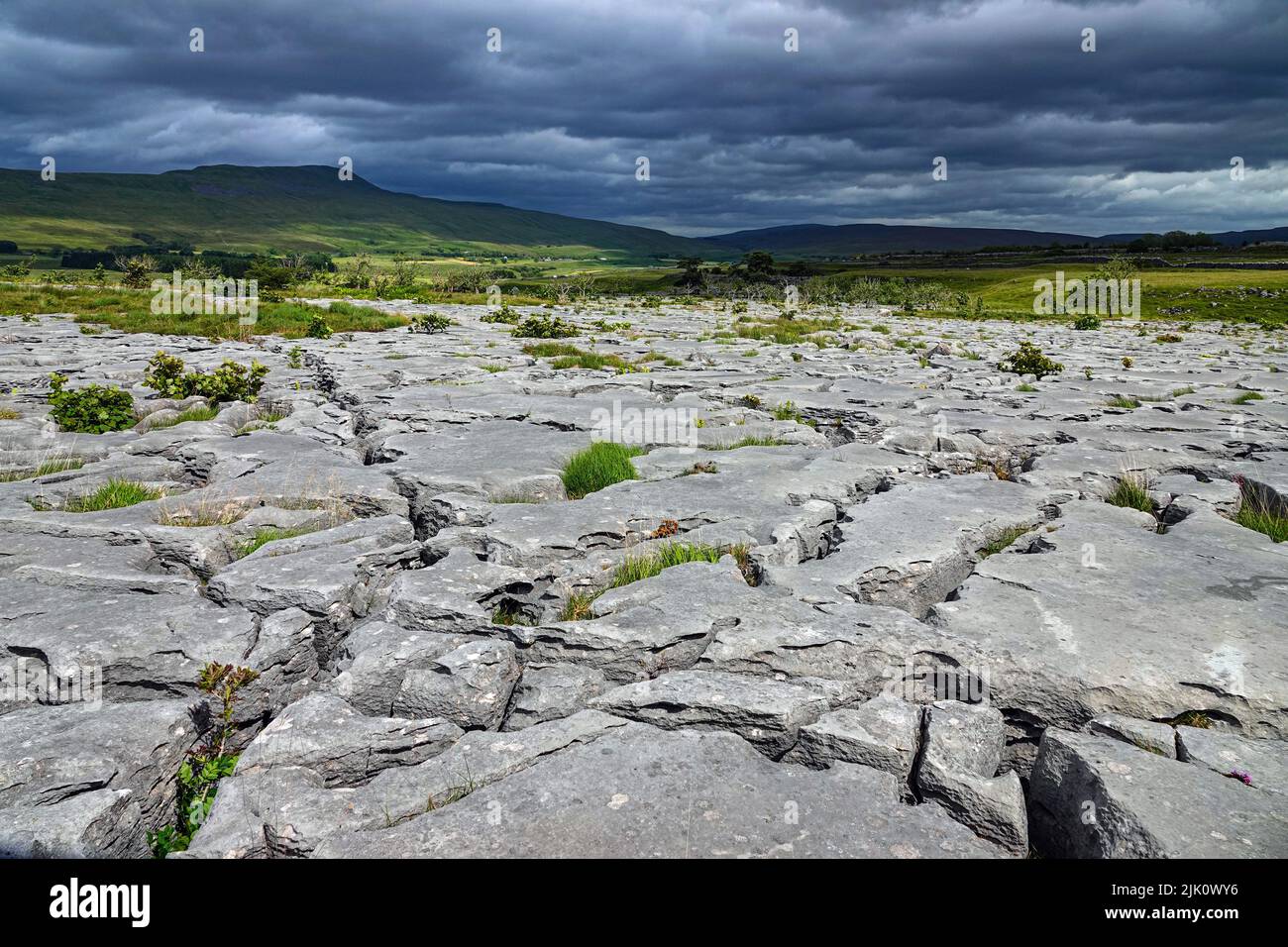 Limestone pavement, Southerscales Fell, Ingleborough, Ingleton, North ...